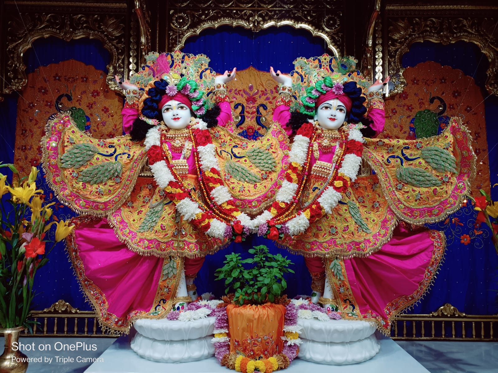 ISKCON Navi Mumbai. Official website of ISKCON at Kharghar, Navi Mumbai