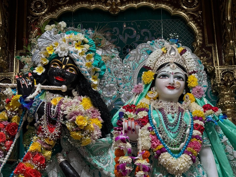 ISKCON Navi Mumbai. Official website of ISKCON at Kharghar, Navi Mumbai