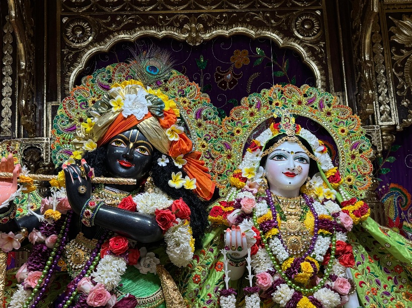 ISKCON Navi Mumbai. Official website of ISKCON at Kharghar, Navi Mumbai