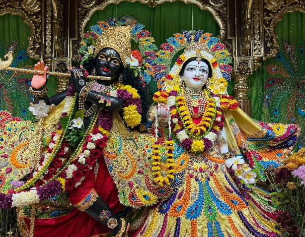 ISKCON Navi Mumbai. Official website of ISKCON at Kharghar, Navi Mumbai