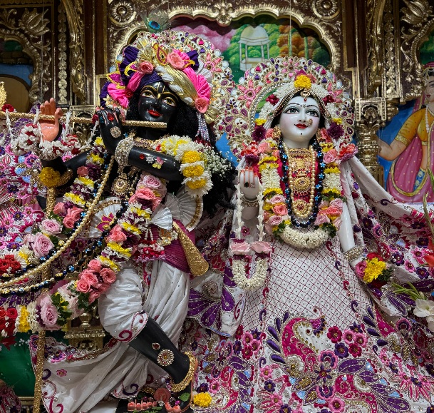 ISKCON Navi Mumbai. Official website of ISKCON at Kharghar, Navi Mumbai