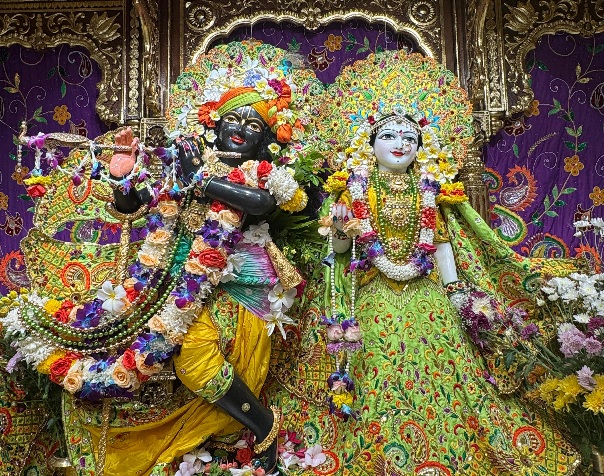 ISKCON Navi Mumbai. Official website of ISKCON at Kharghar, Navi Mumbai